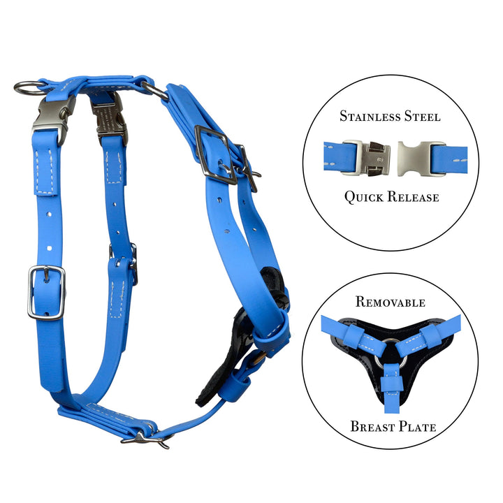 Biothane Collars & Harnesses – DogSport Gear Canada