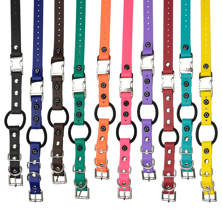 E-Collars & Accessories – DogSport Gear Canada