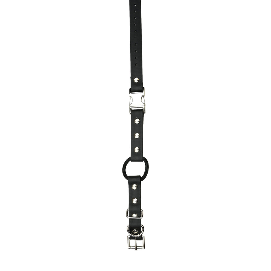 E-Collars & Accessories – DogSport Gear Canada