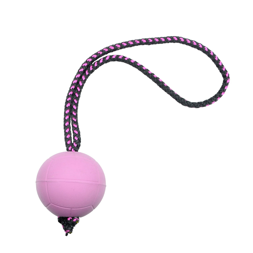 Reward Balls – DogSport Gear Canada